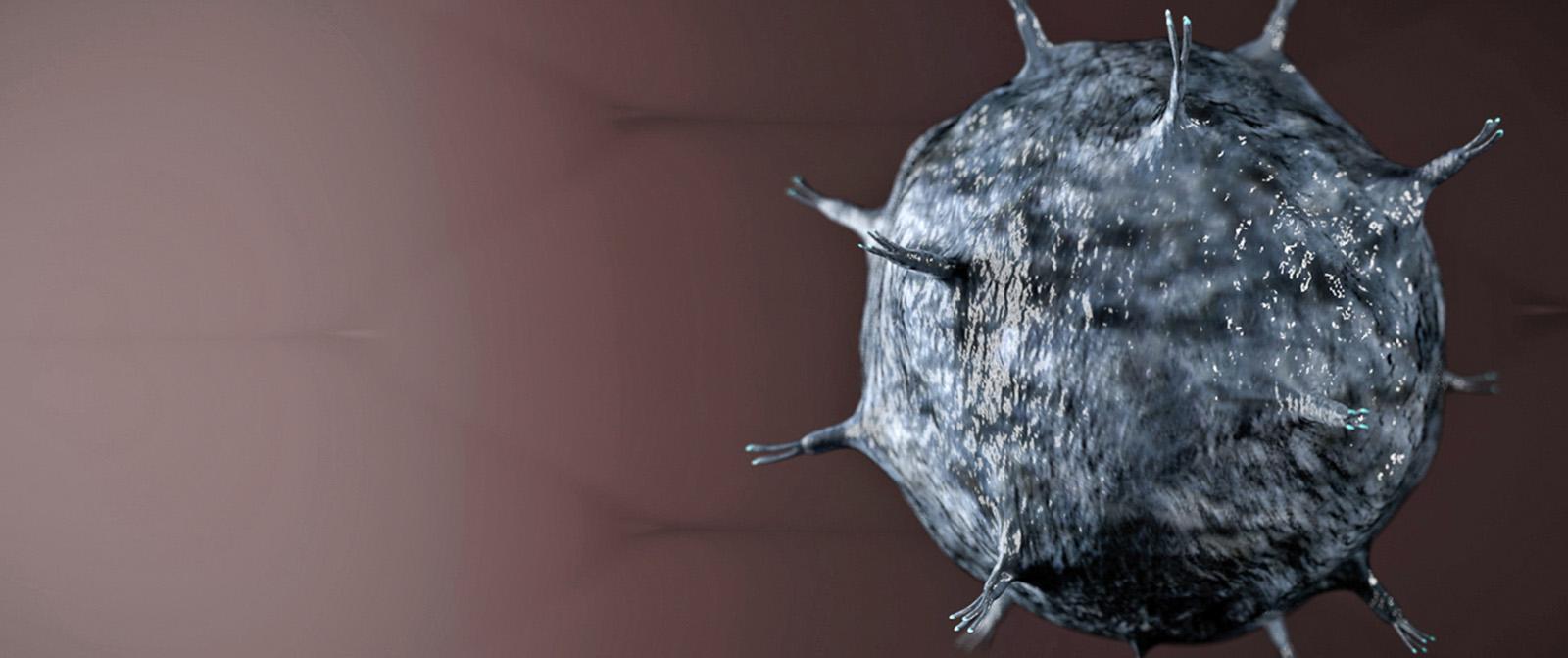 Ondersteuning bij leven met en na kanker | Patiëntenorganisatie Hematon