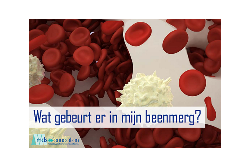 Wat gebeurt er in mijn beenmerg